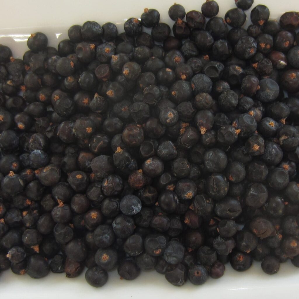 Gin Botanicals Directory The Ginopedia The Gin Guild Key